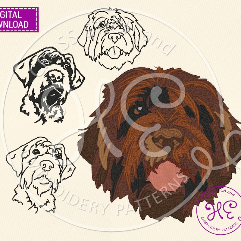 Wirehaired Pointer - Etsy