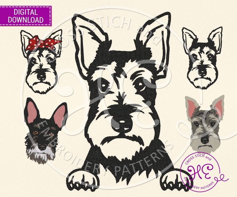 Miniature Schnauzer Embroidery Design, Machine Embroidery Pattern ...