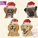 Christmas Dog Embroidery Design Machine Embroidery Pattern | Etsy