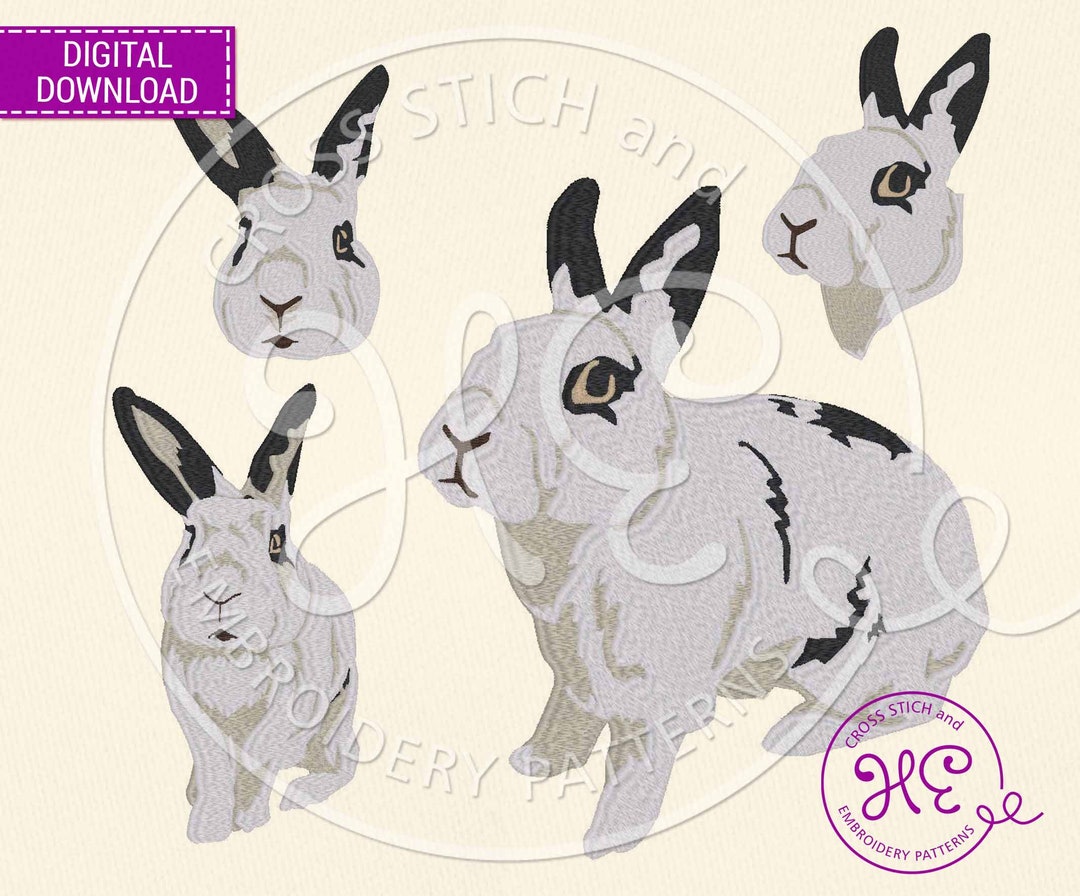Rabbit Embroidery Design, Embroidery Pattern for Machine, Download ...