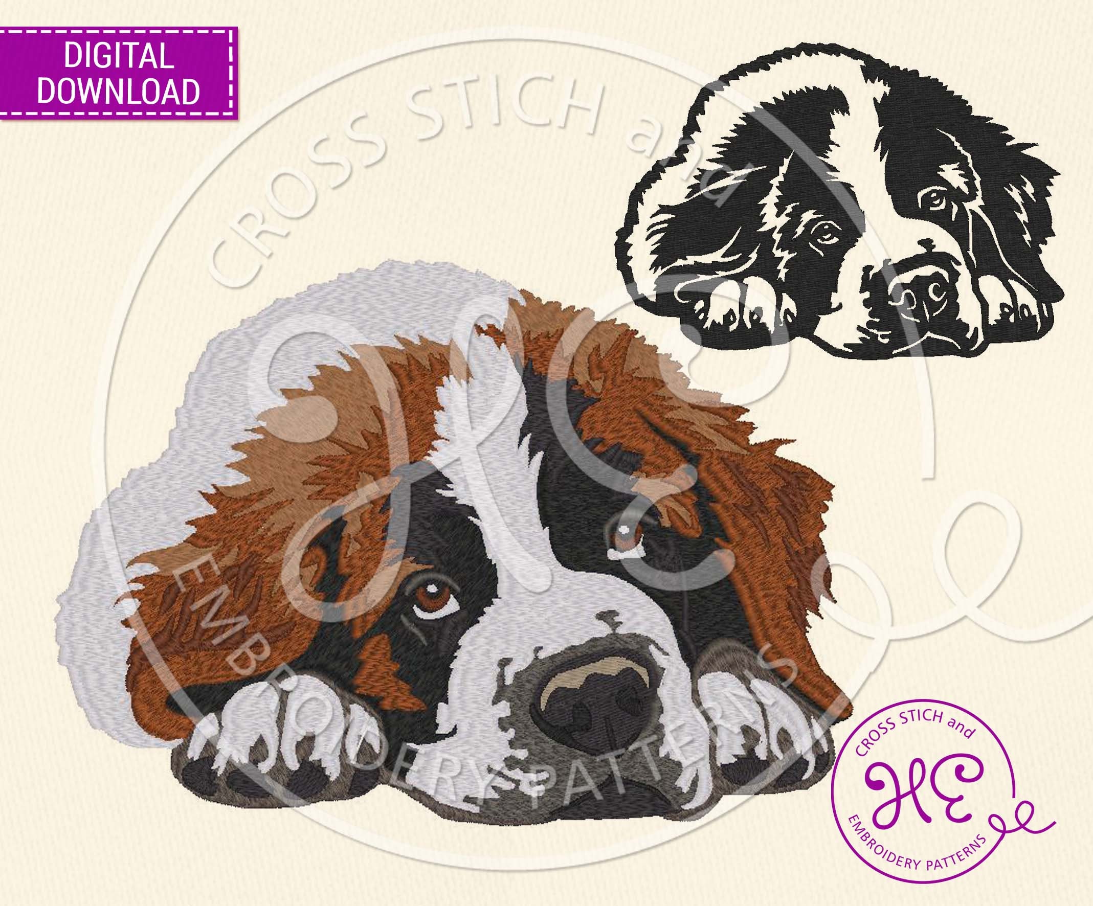 Miniature Saint Bernard for sale| 86 ads for used Miniature Saint Bernards