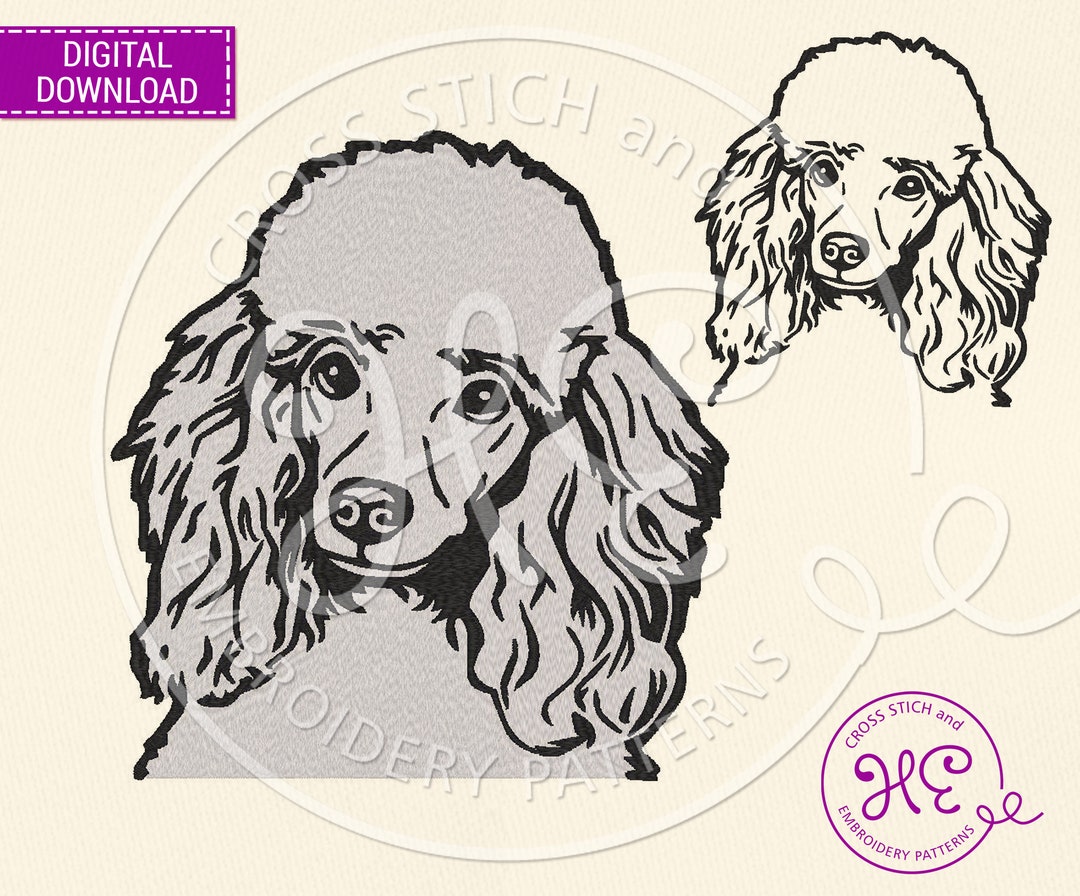 Poodle Embroidery Design, Machine Embroidery Pattern, Download, Cute ...