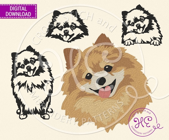 Pomeranian Embroidery Designs Machine Embroidery Pattern | Etsy