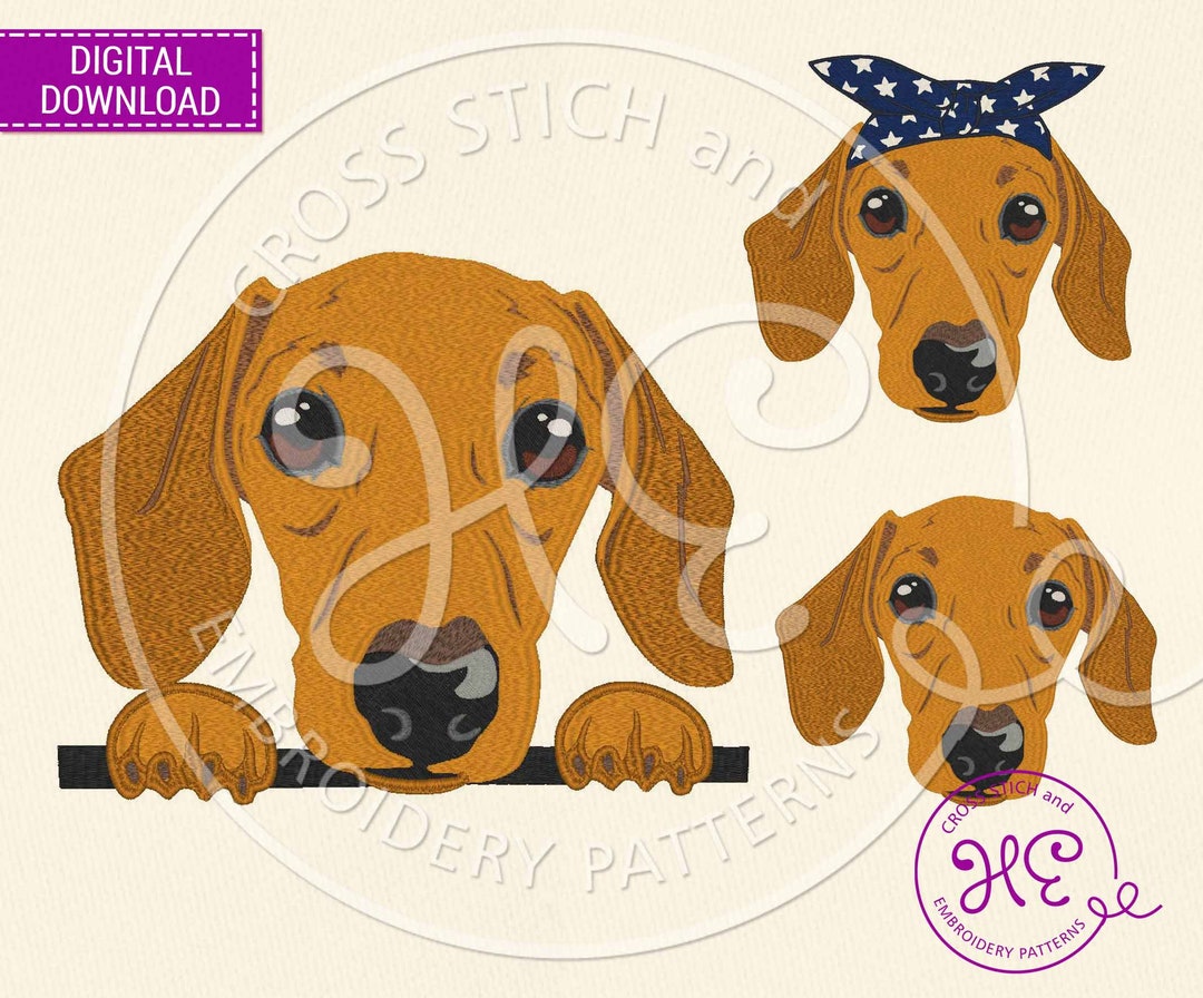 Red Dachshund Dog Embroidery Design, Machine Embroidery Pattern ...