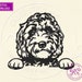 Labradoodle Dog Embroidery Designs, Machine Embroidery Pattern ...