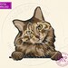 Tabby Cat Embroidery Designs, Machine Embroidery Pattern, Digital ...