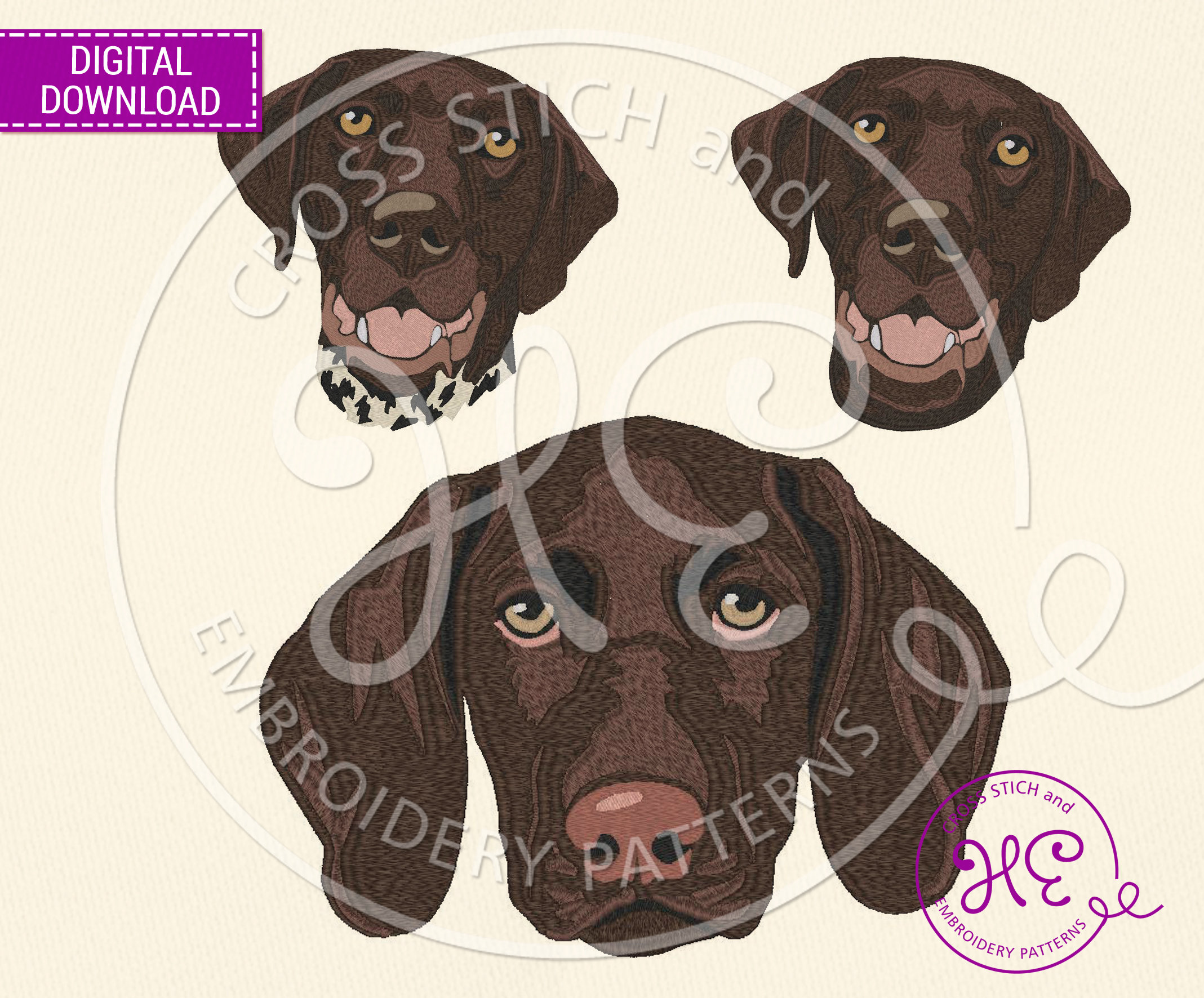 German Shorthaired Pointer Embroidery Designs Machine - Etsy