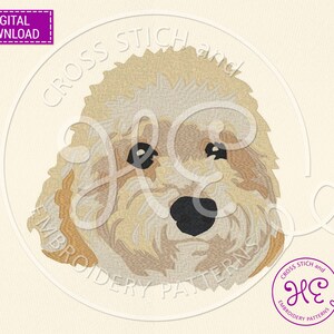 Maltipoo Dog Embroidery Designs, Machine Embroidery Pattern, Download ...