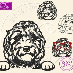 Labradoodle Dog Embroidery Designs, Machine Embroidery Pattern ...