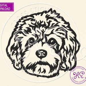 Cavapoo Dog Embroidery Designs, Machine Embroidery Pattern, Download ...