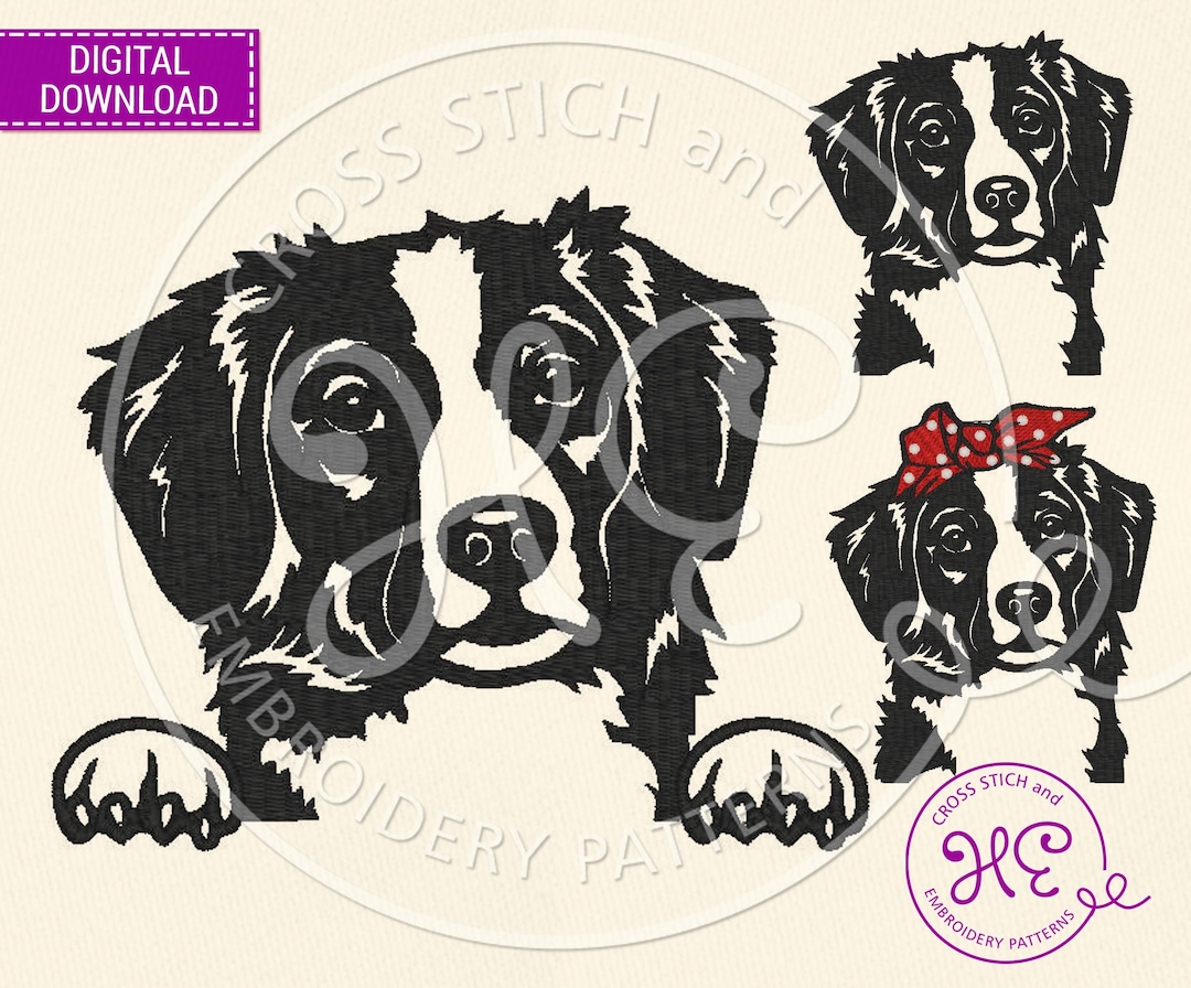 Toller Embroidery Designs, Embroidery Pattern for Machine, Download ...