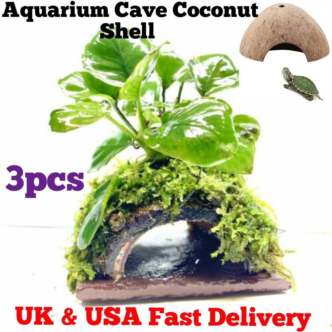 3pcs CAVE COCONUT SHELL Aquarium for Home Fish Tank Décor to Grow Java ...