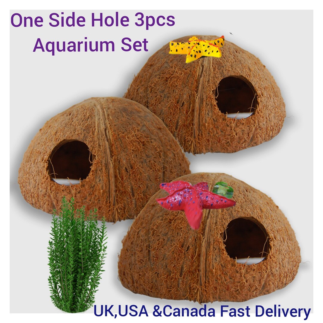 Eco-friendly Coir Shell One Side Hole 3pcs Aquarium Fish Tank - Etsy