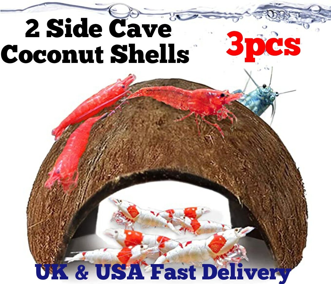 3pcs Coconut Cave Shell Aquarium for Fish Tank Décor Accessories ...