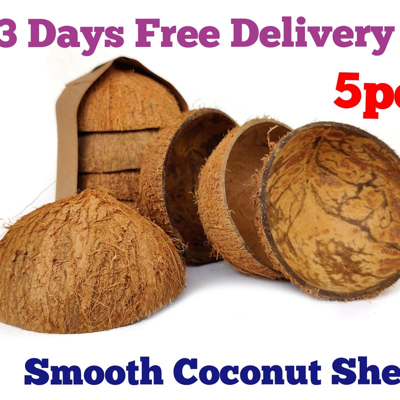 Coconut Shell - Etsy