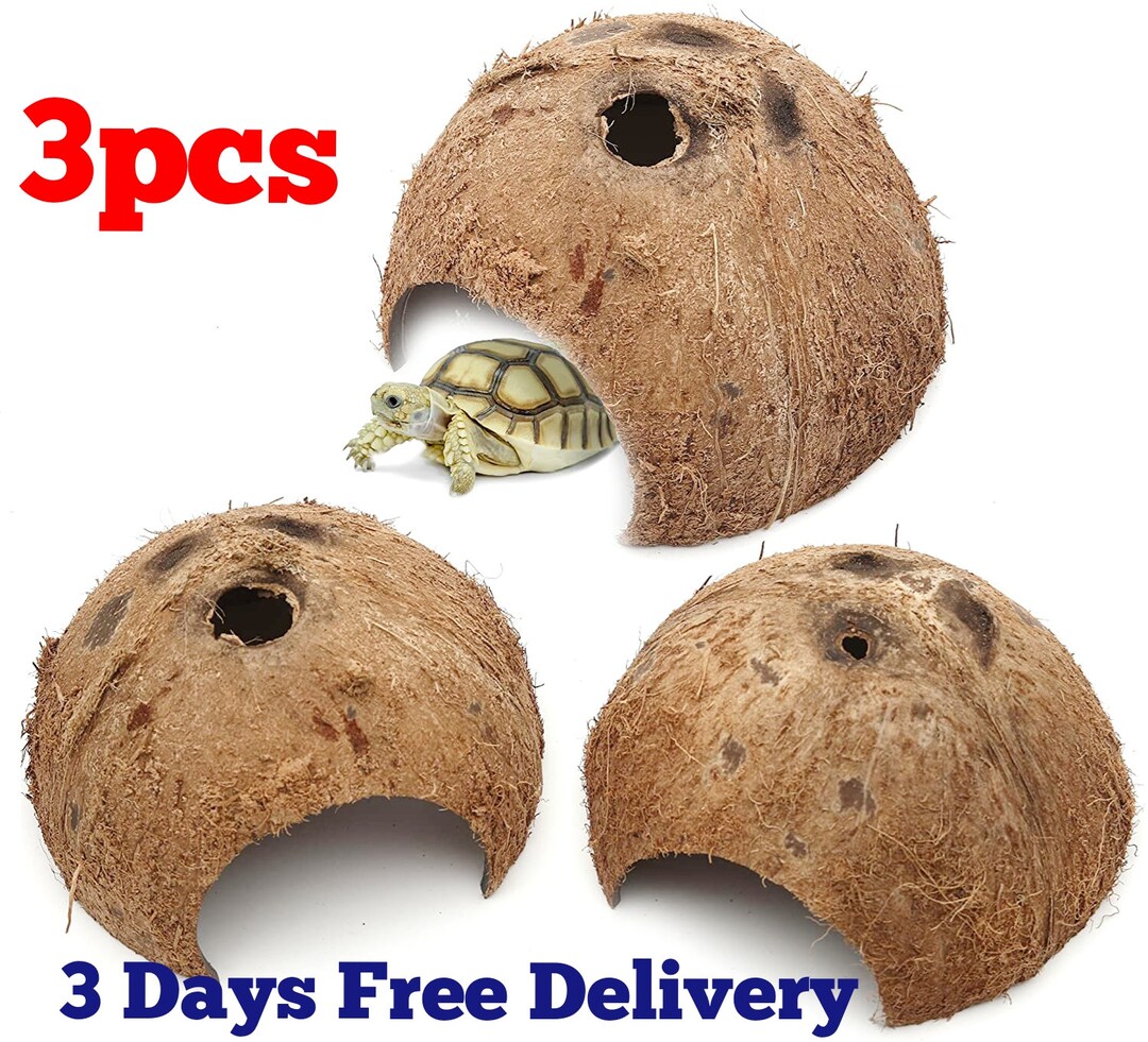 3 Set Coconut Shell Cave for Aquarium and Terrariums, Hideouts for ...