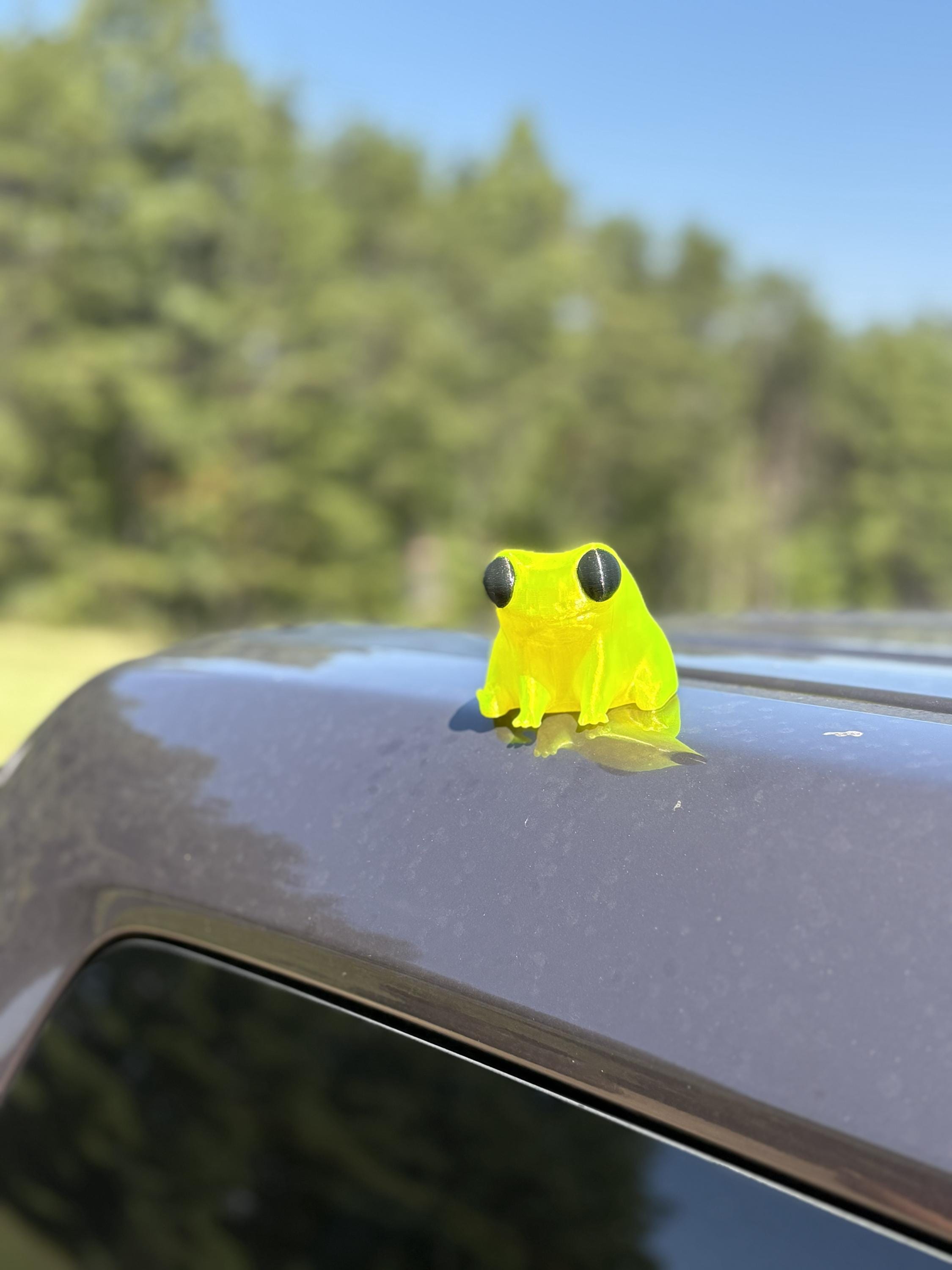 Just a Big Dude Frog Magnet - Etsy