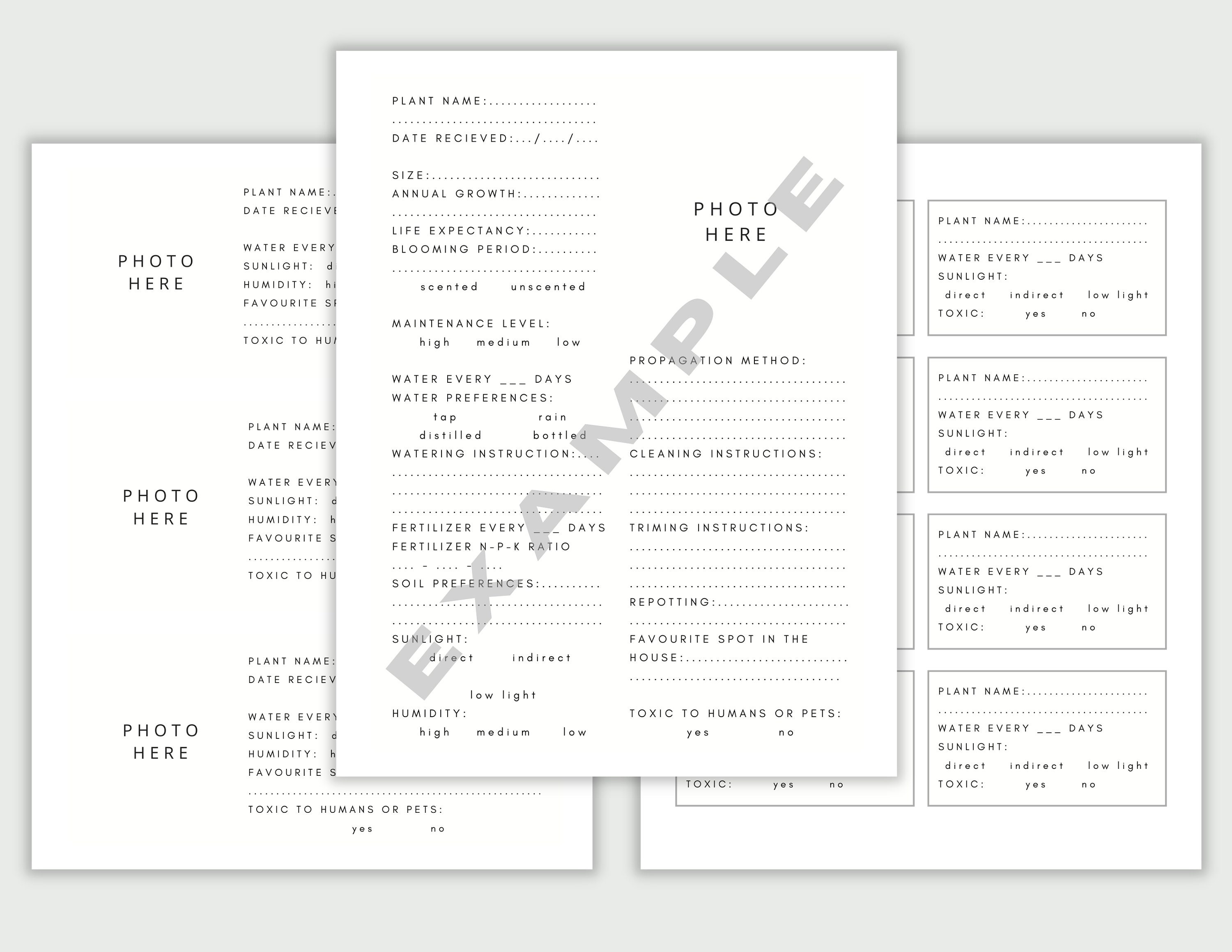 Black and White Minimal Plant Journal Printable, B&W Houseplant Planner ...