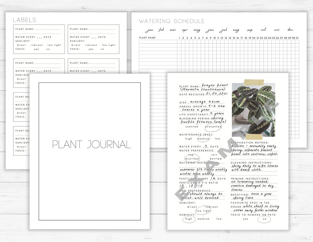 Black and White Minimal Plant Journal Printable, B&W Houseplant Planner ...