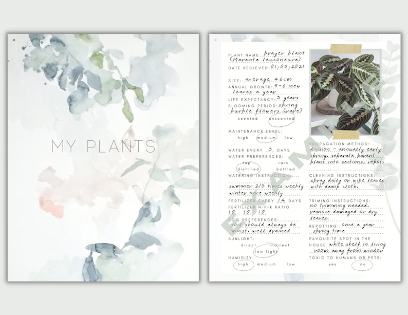 Plant Journal Printable, Houseplant Planner, Plant Care, Plant Guide ...