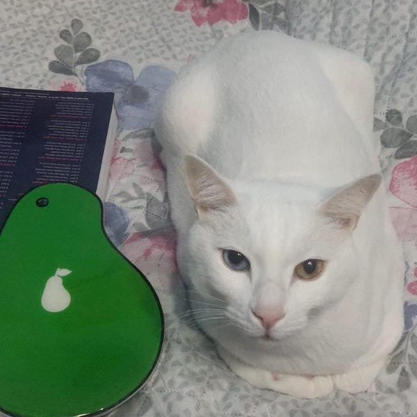 Icarly Pear Phone - Etsy