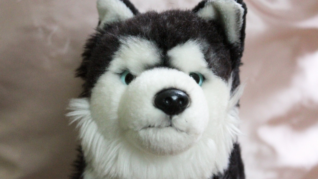 Rare Webkinz Signature Siberian Husky Plush Toy No Code - Etsy