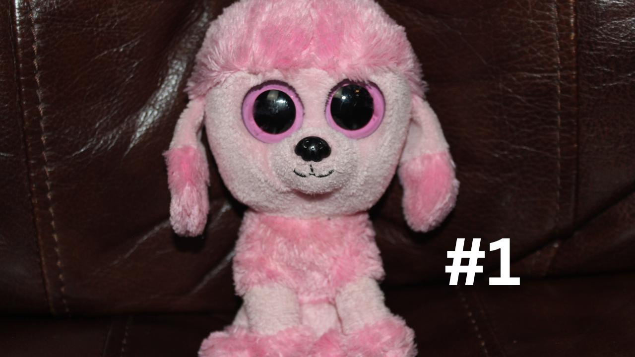 Pick-a-plush Beanie Boo Plushies 9" - Etsy