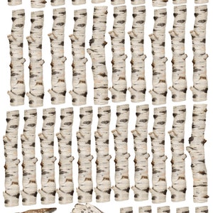 Nursery Birch Tree Decal, Tree Wall Decal, Birch Tree Decor, Birch ...