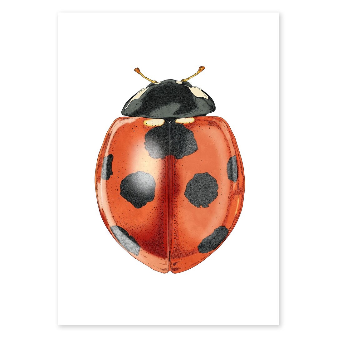 Lady Bug - Fine Art Print - Etsy