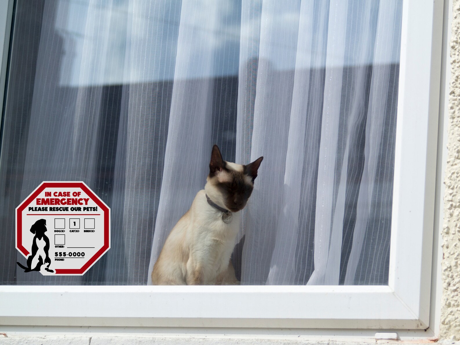 Emergency Pet Window Sign SVG, Pet Emergency Fire SVG, Cricut Cut File ...