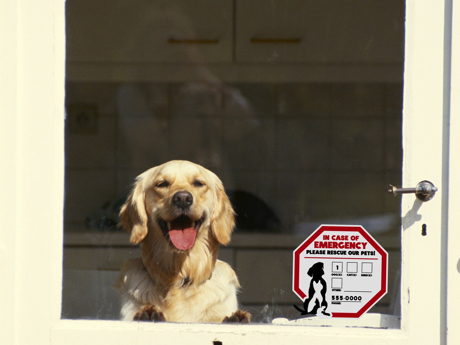 Emergency Pet Window Sign SVG, Pet Emergency Fire SVG, Cricut Cut File ...