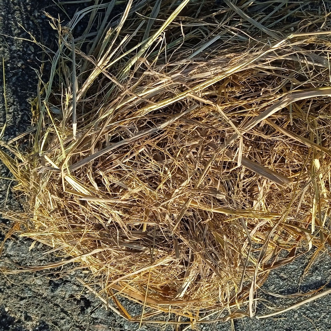 Dried Natural Straw , Leaves Natural 100% ,dried Natural Plant Leaves ...