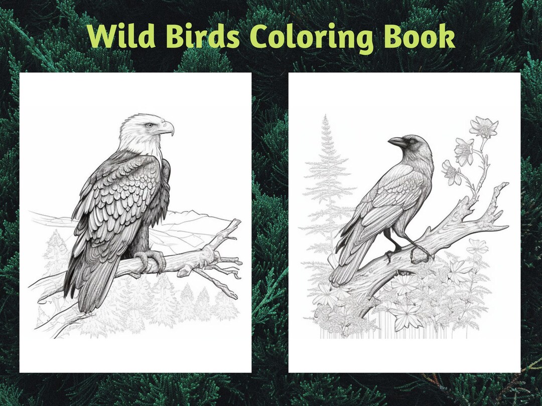 Wild Birds Coloring Book Wild Animals Coloring Pages - Etsy