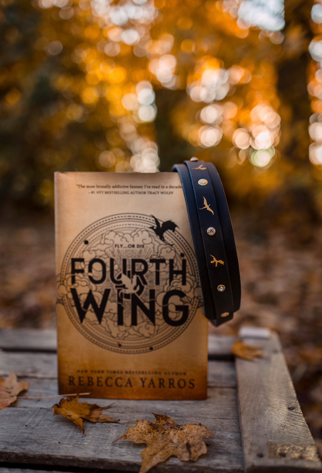Bookish Dog Collar: Dragon Riders, Fourth Wing Inspired - Etsy