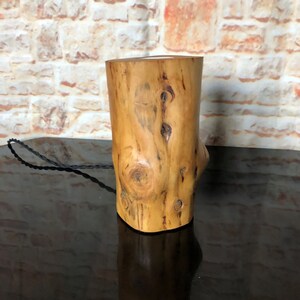 One of a Kind Natural Tree Stump Lamp - Etsy