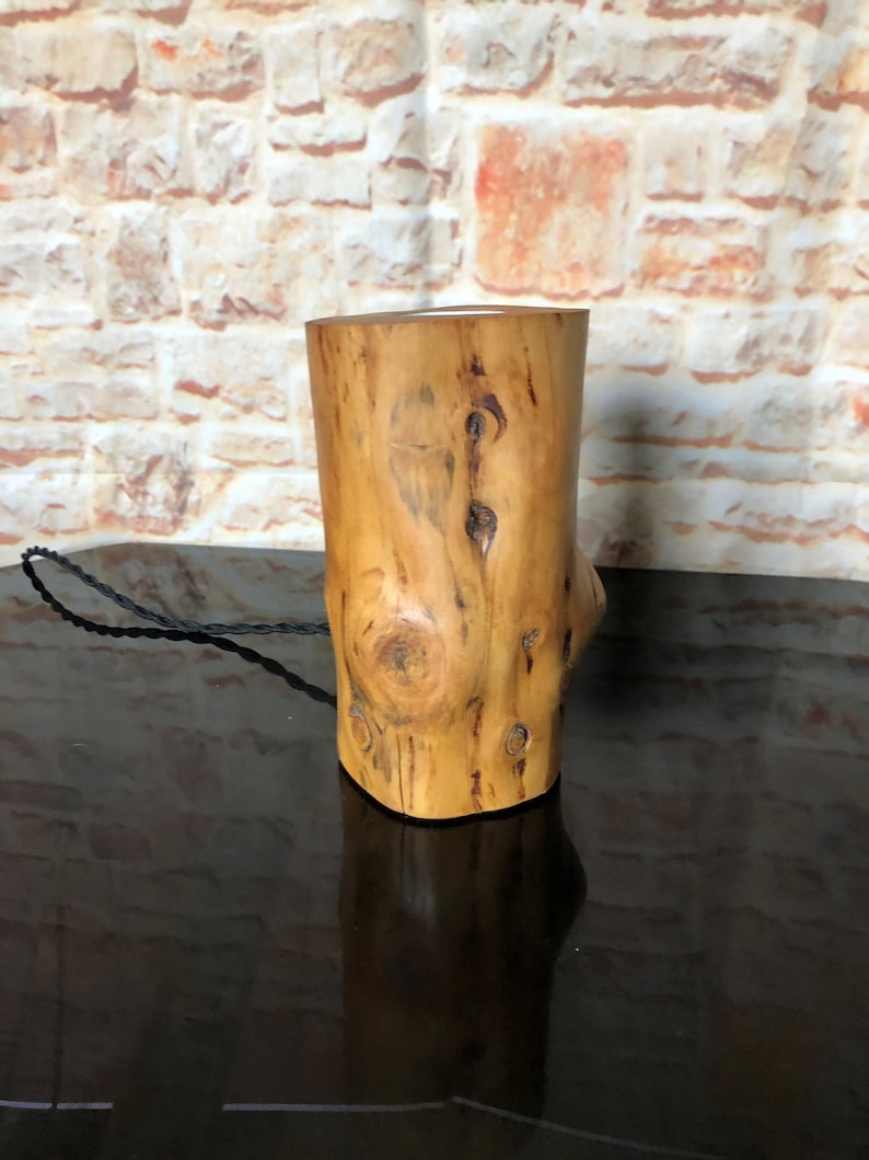 One of a Kind Natural Tree Stump Lamp - Etsy