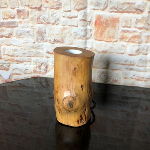One of a Kind Natural Tree Stump Lamp - Etsy