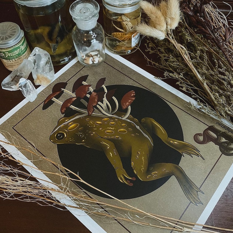 Frog Print - Etsy
