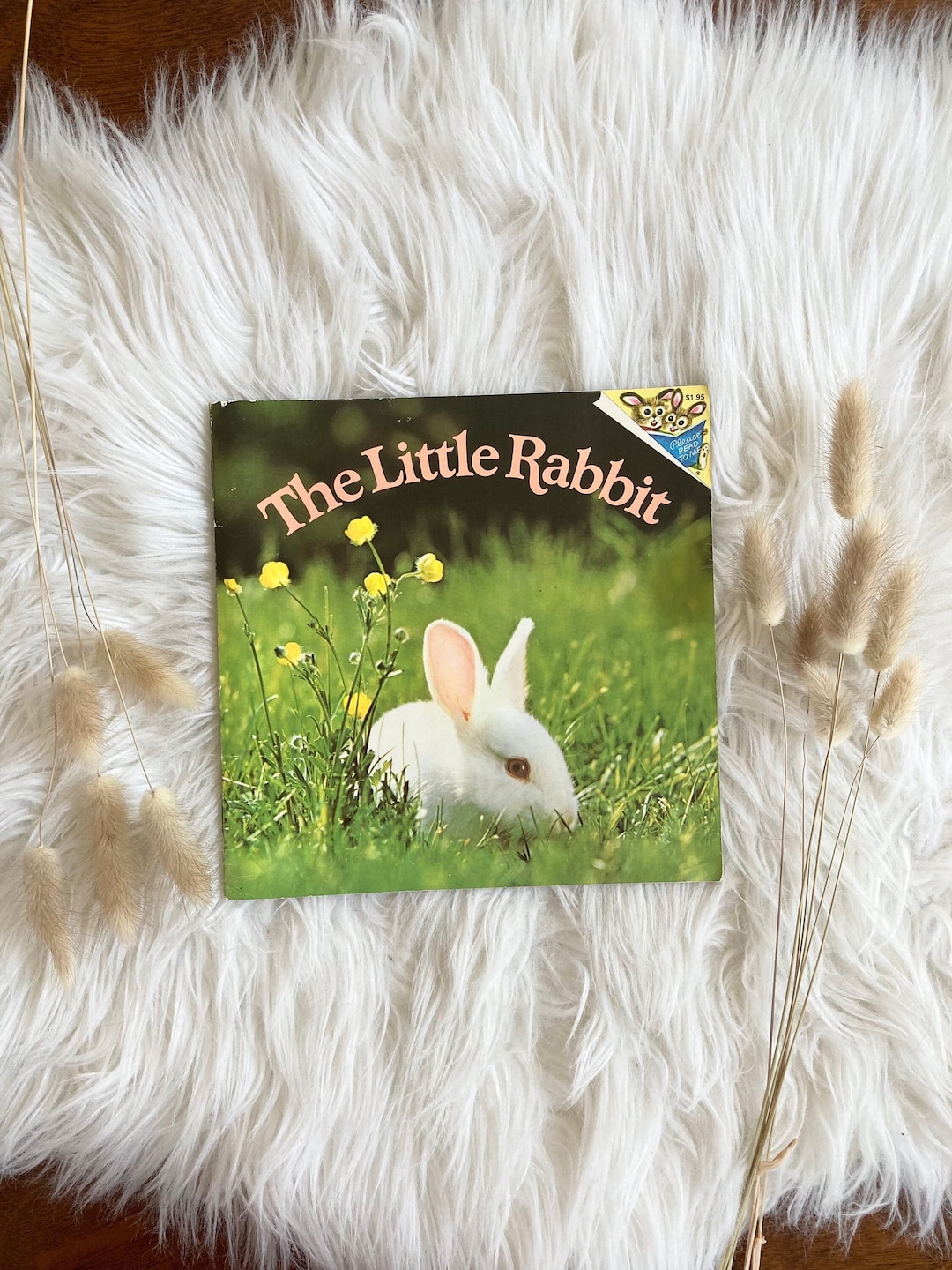 1980 the Little Rabbit Vintage Book Judy Dunn Children's Books Spring ...