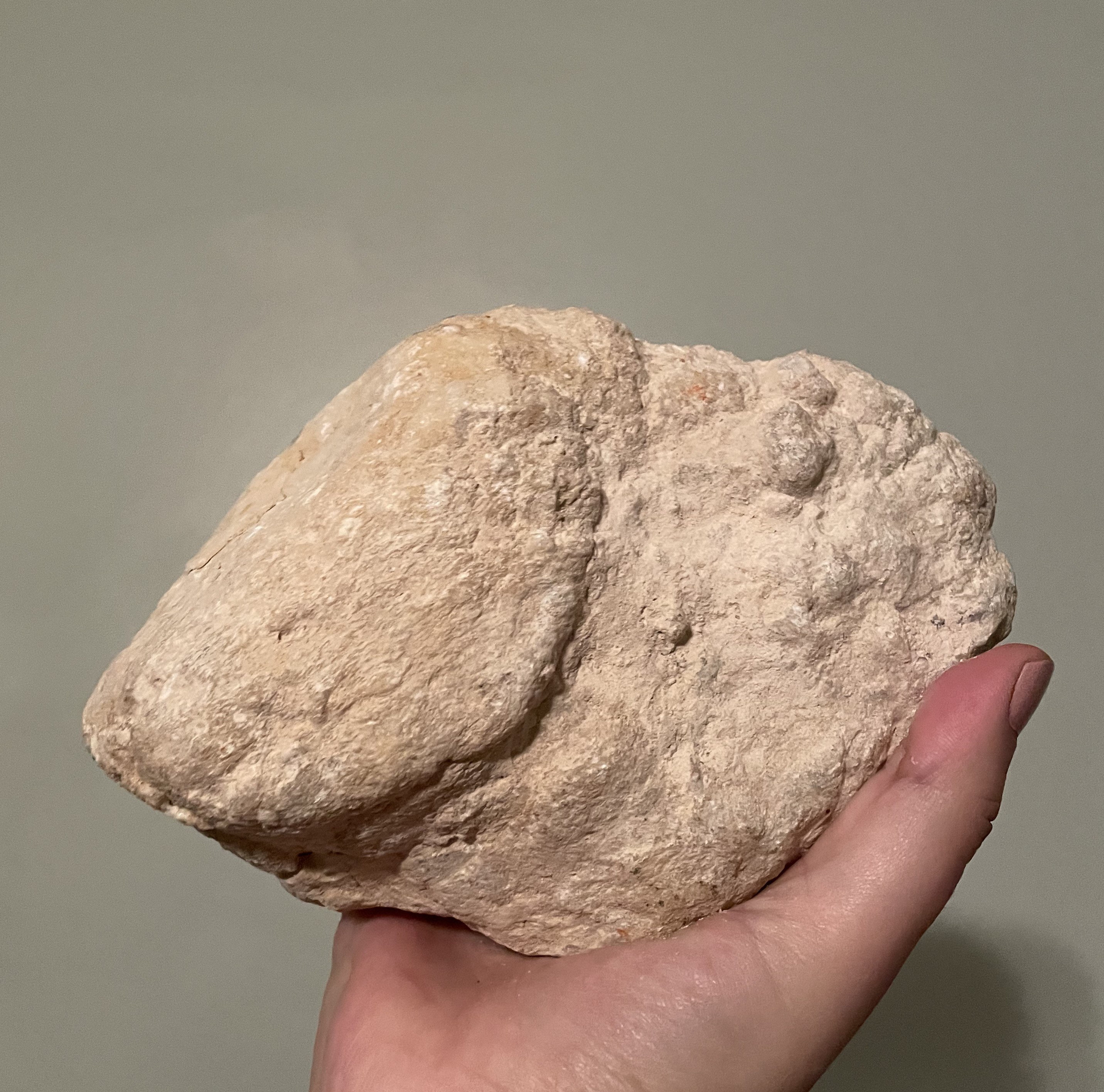 Large Crack Your Own Geode Geode Large Geode Break Your Own - Etsy