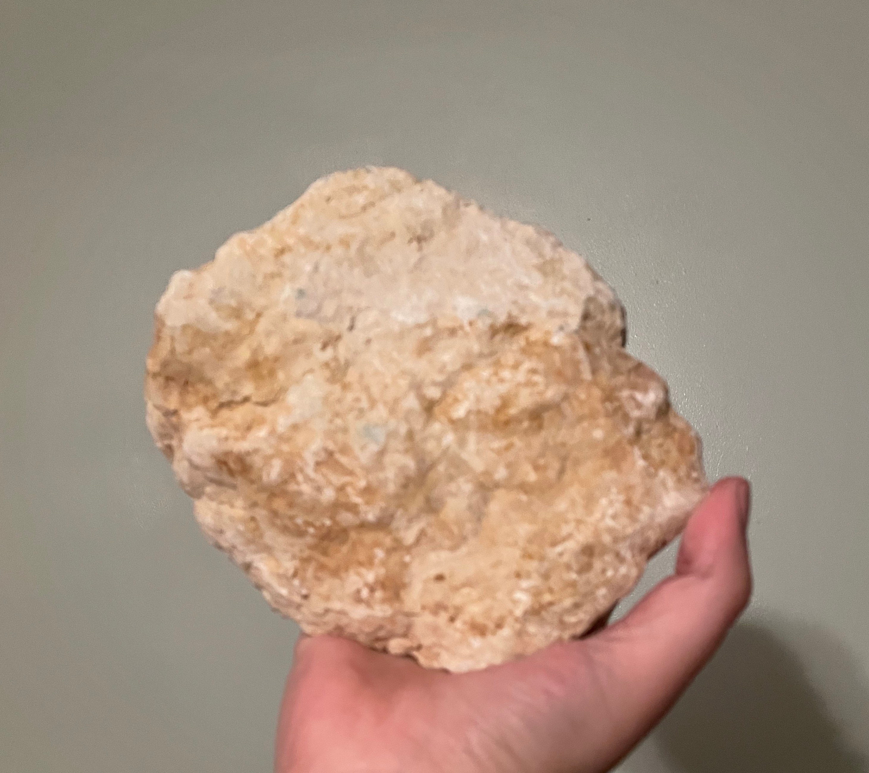 Large Crack Your Own Geode Geode Large Geode Break Your Own - Etsy