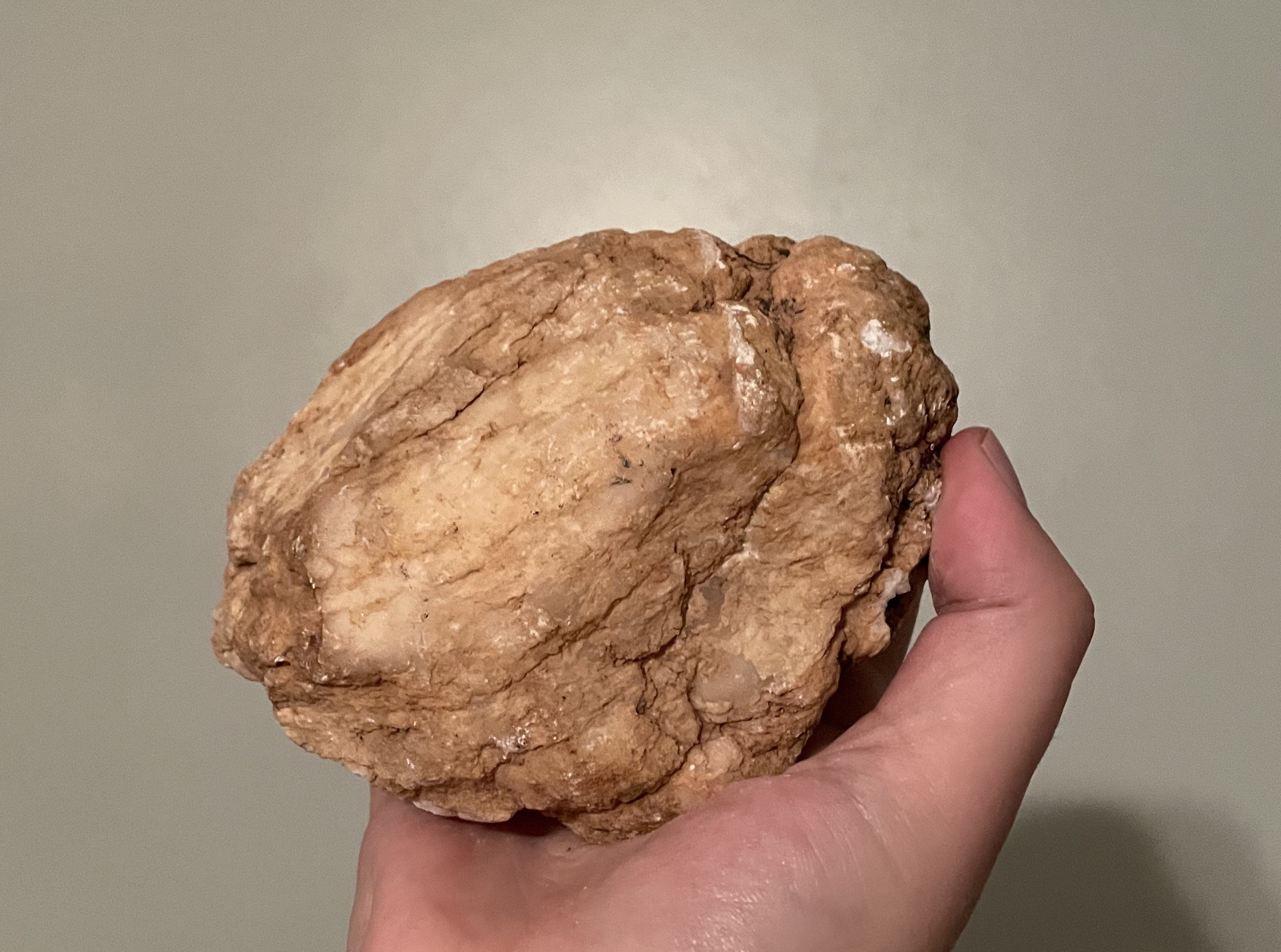 Large Crack Your Own Geode Geode Large Geode Break Your Own | Etsy