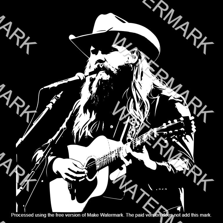 Country Artist SVG bundle - Etsy