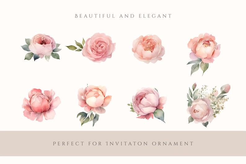 Watercolor Rose Clipart, Floral Bundle, Rose Flower, Pink Blush Rose ...