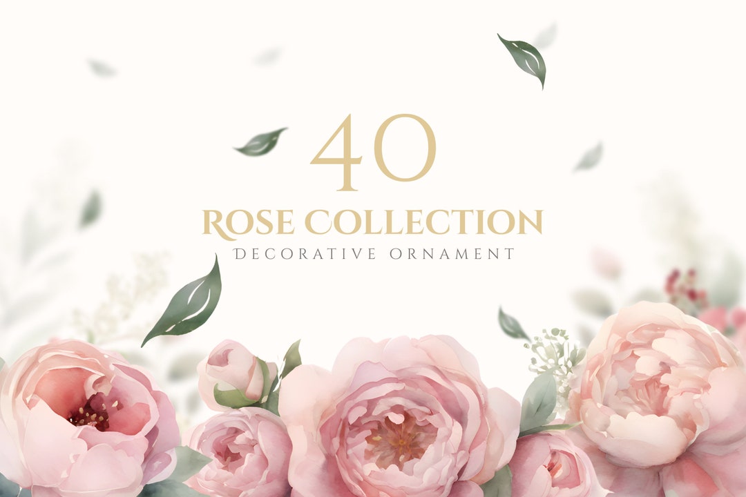 Watercolor Rose Clipart, Floral Bundle, Rose Flower, Pink Blush Rose ...