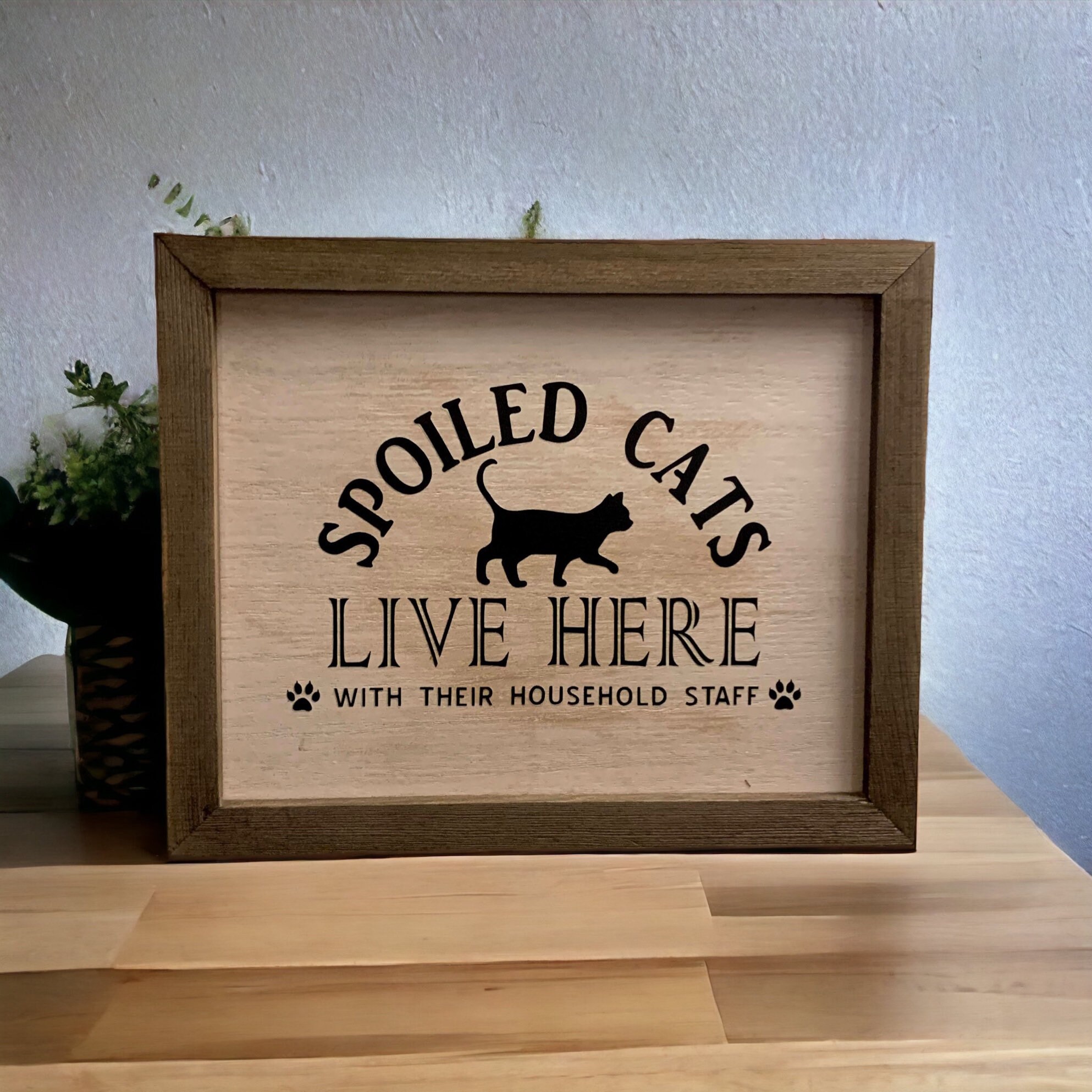 Signs Of A Spoiled Cat