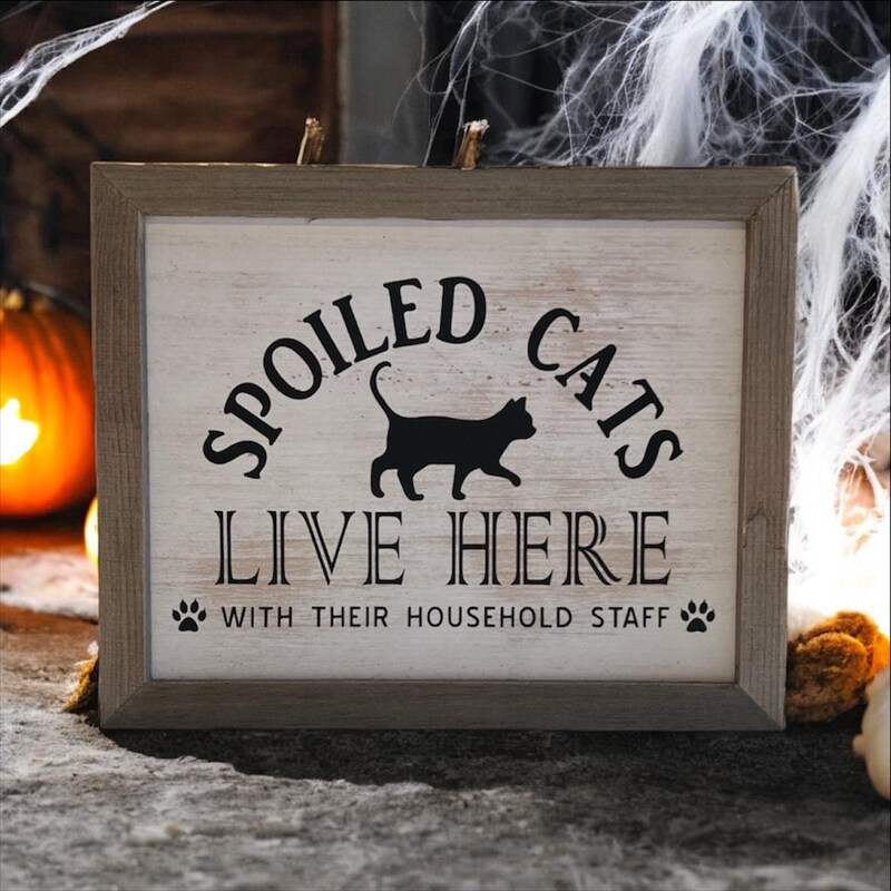 Cat Signs - Etsy