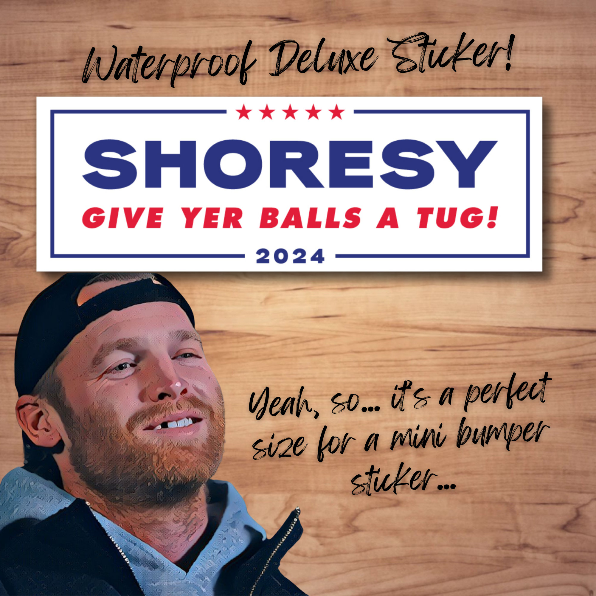 SHORESY 2024 Mini Bumper Sticker Waterproof Vinyl Shore 69, Letterkenny ...