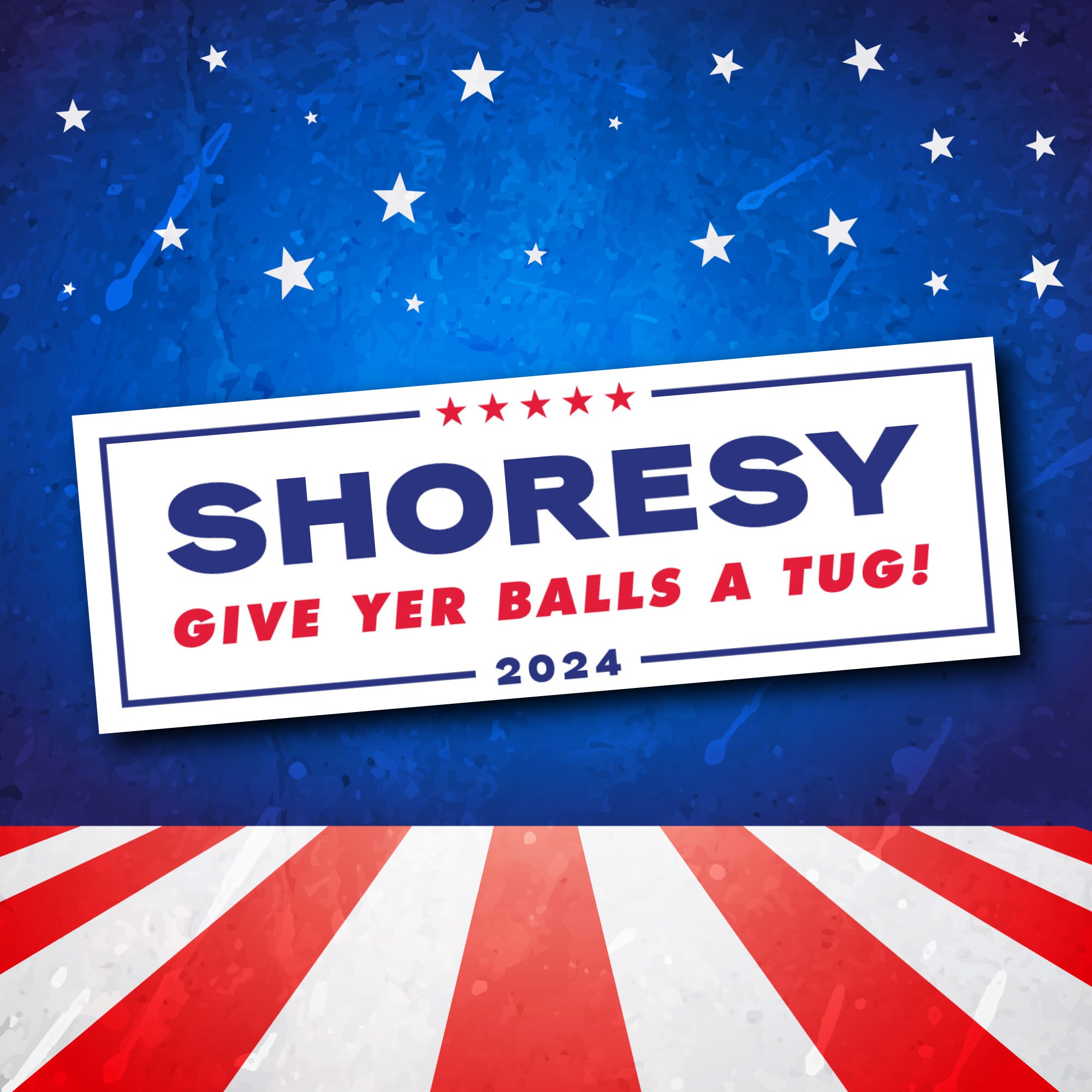 SHORESY 2024 Mini Bumper Sticker Waterproof Vinyl Shore 69, Letterkenny ...