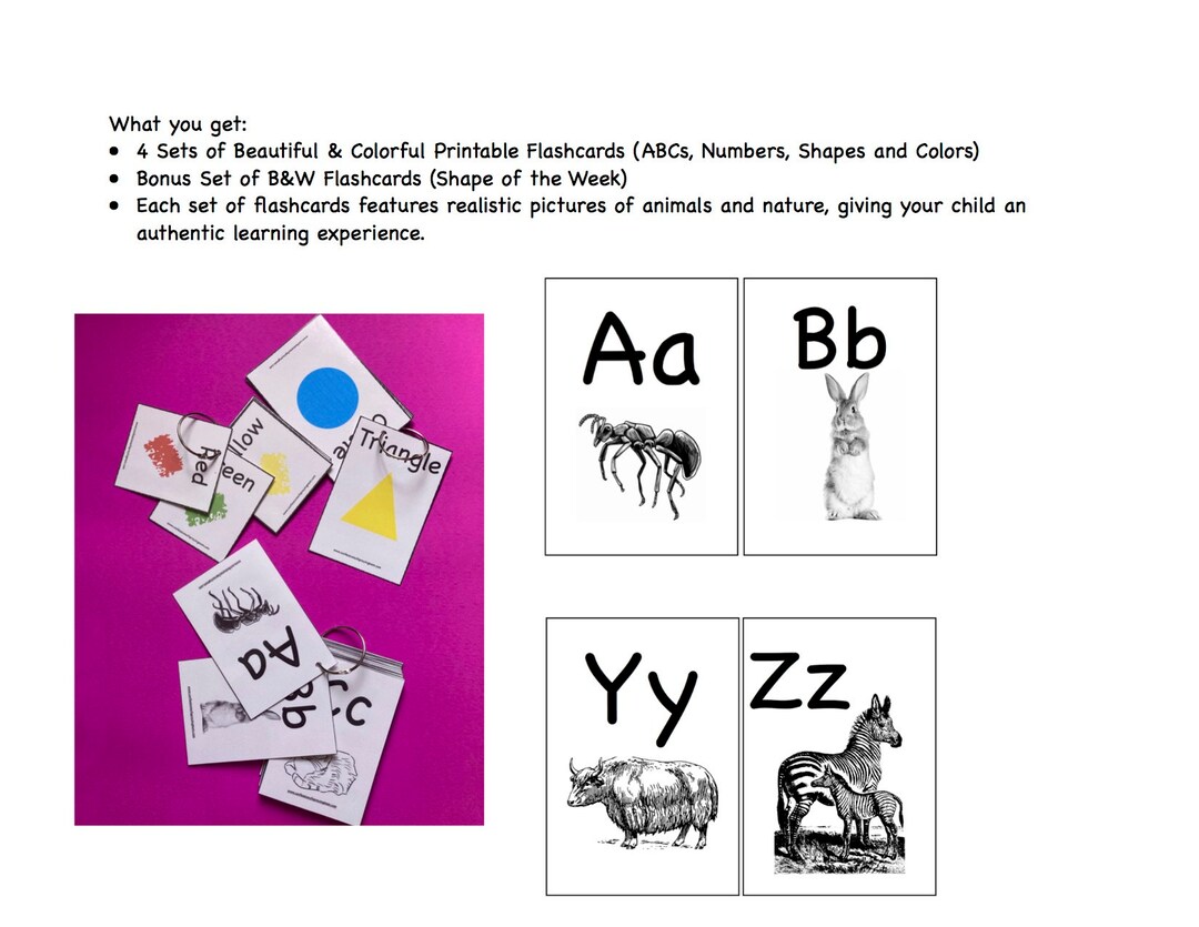 Little Learners Preschool Starter Pack - Etsy